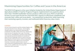 Technical Resources | inDepth